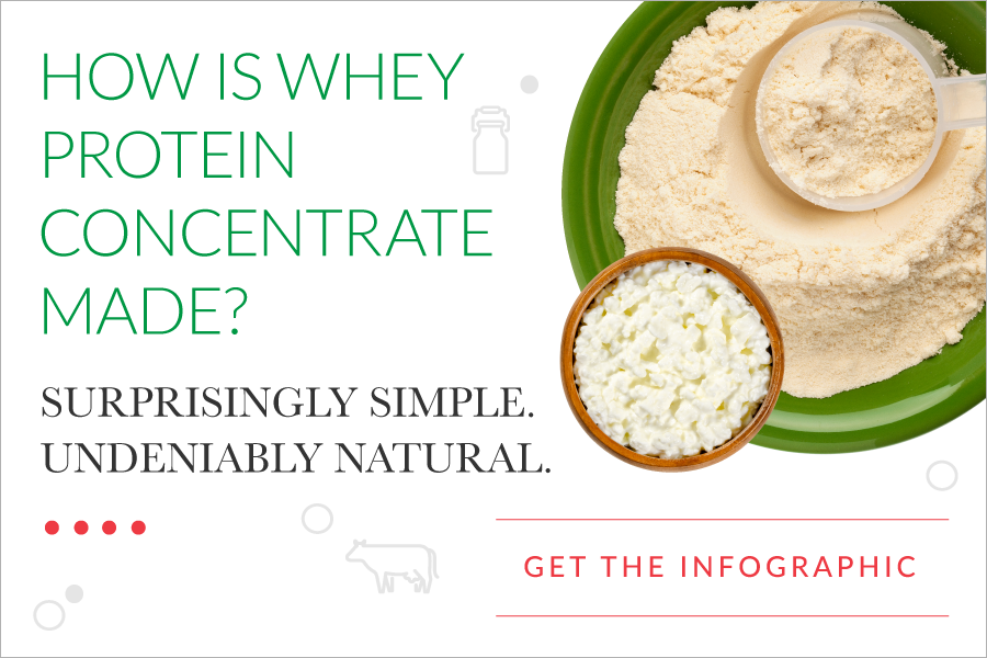 Whey Protein Concentrate Infographic